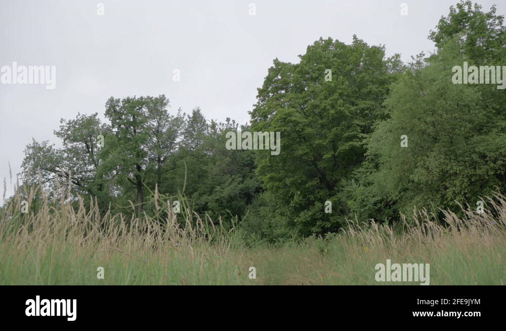 Panorama scenic nature Stock Videos & Footage - HD and 4K Video Clips ...