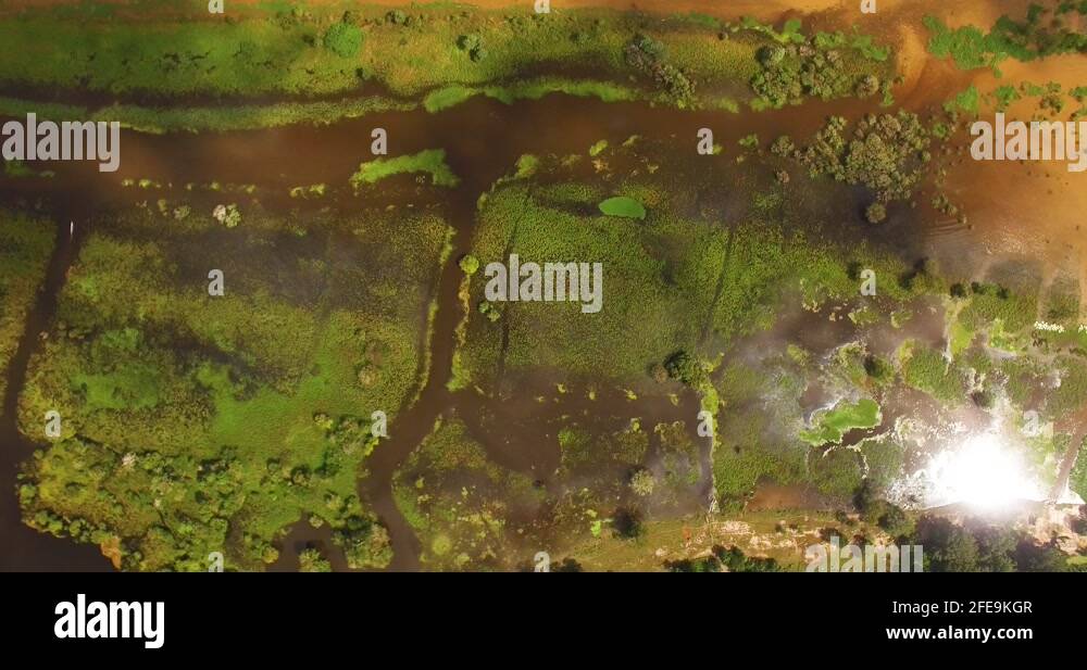 Amazon river floodplain Stock Videos & Footage - HD and 4K Video Clips ...