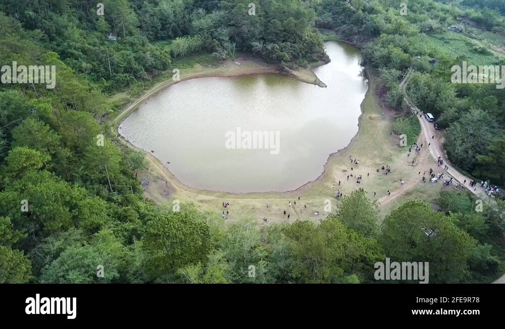 Danum Stock Videos & Footage - HD and 4K Video Clips - Alamy