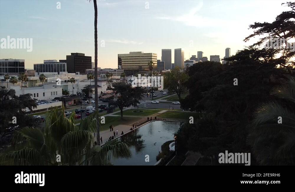 City of palm trees Stock Videos & Footage - HD and 4K Video Clips - Alamy