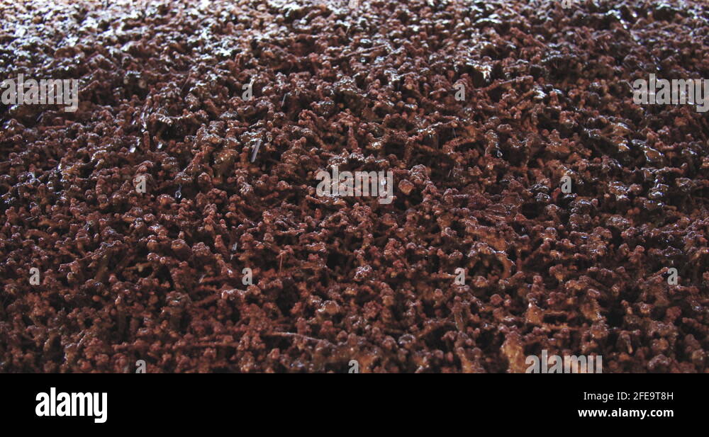 Water extraction tower Stock Videos & Footage - HD and 4K Video Clips ...