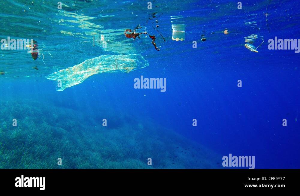 Deep sea garbage Stock Videos & Footage - HD and 4K Video Clips - Alamy