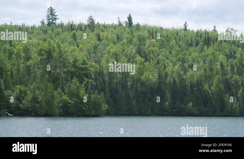 Boundary area Stock Videos & Footage - HD and 4K Video Clips - Alamy