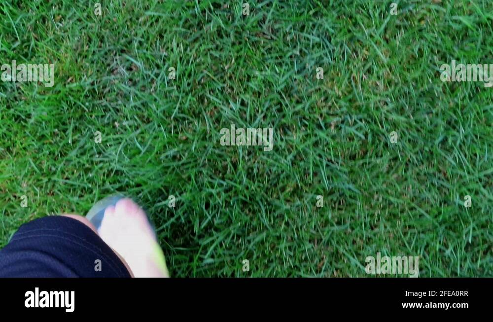 Grounding on grass Stock Videos & Footage - HD and 4K Video Clips - Alamy