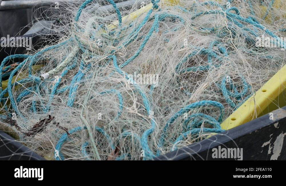 Tangled nets Stock Videos & Footage - HD and 4K Video Clips - Alamy