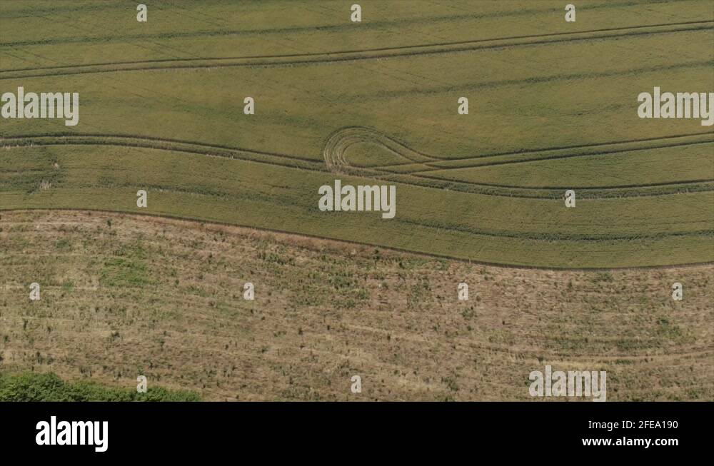 Run horizontal Stock Videos & Footage - HD and 4K Video Clips - Alamy