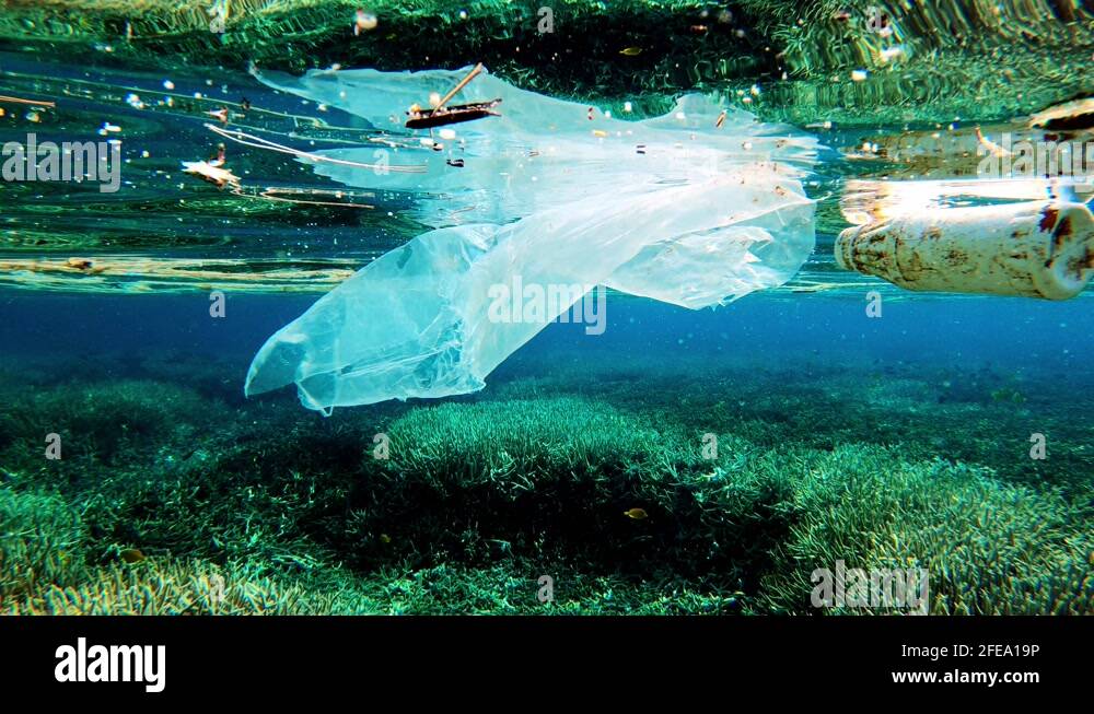 Improper Disposal Of Garbage Resulting To Pollution - Plastic Bag And ...