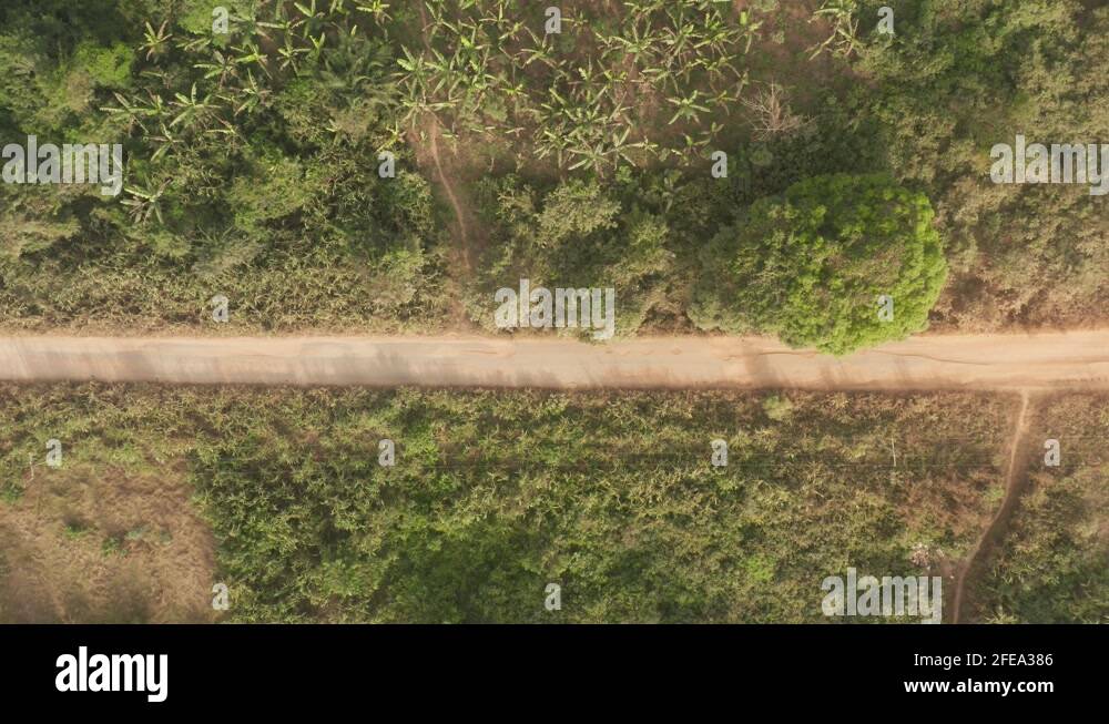 Jungle bus Stock Videos & Footage - HD and 4K Video Clips - Alamy