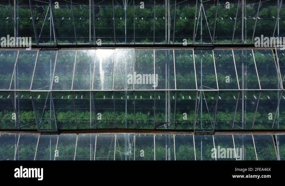 Commercial pollination Stock Videos & Footage - HD and 4K Video Clips ...