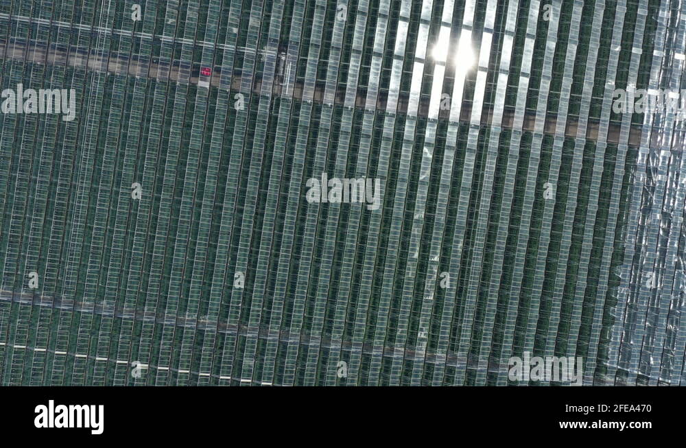 Glint in his eye Stock Videos & Footage - HD and 4K Video Clips - Alamy