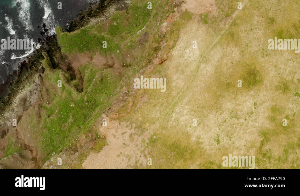 Seabird colony aerial Stock Videos & Footage - HD and 4K Video Clips ...