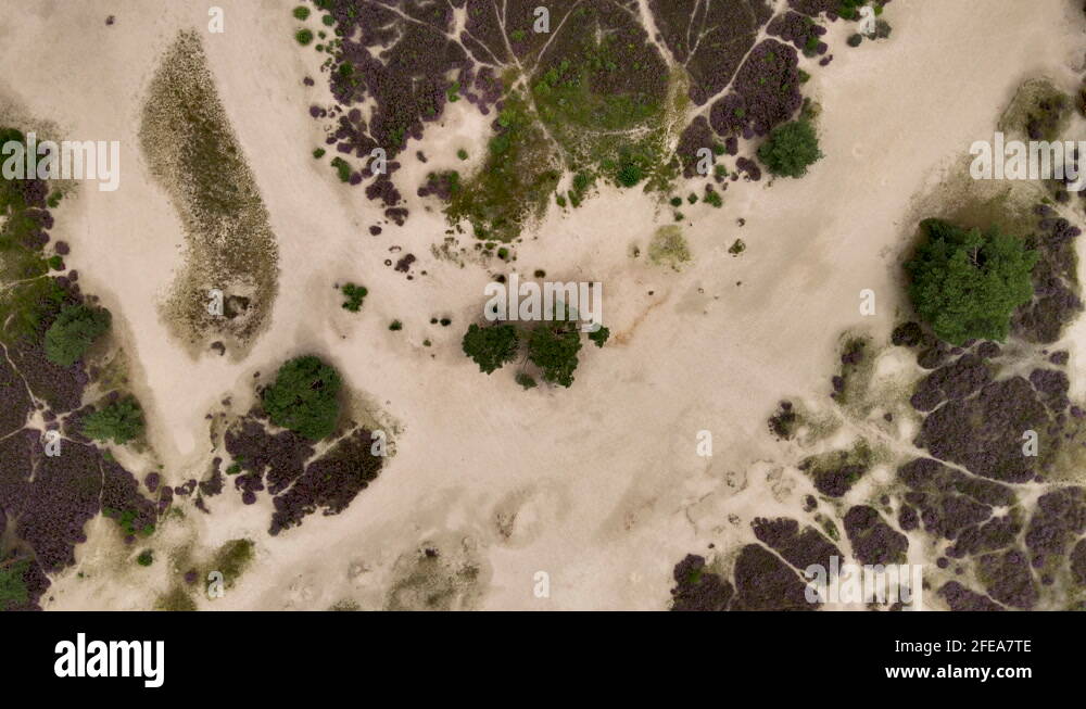 Field of sand dunes Stock Videos & Footage - HD and 4K Video Clips - Alamy