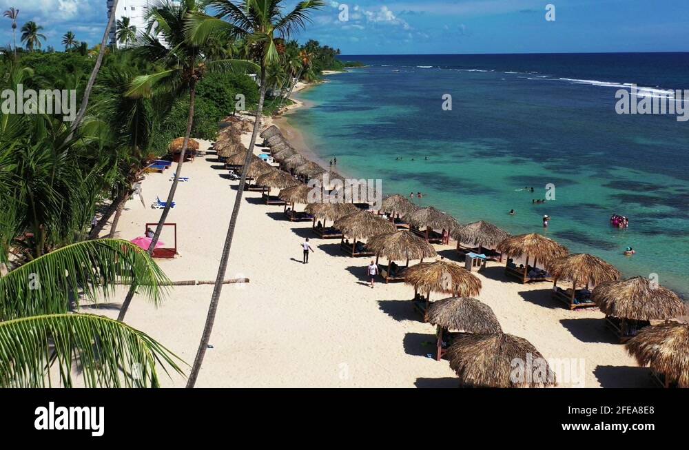 Palm Trees Stand Tall over Tropical Cafe Del Sol Beach Resort Lined ...