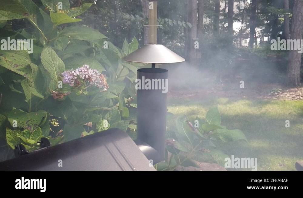 White smoker Stock Videos & Footage - HD and 4K Video Clips - Alamy