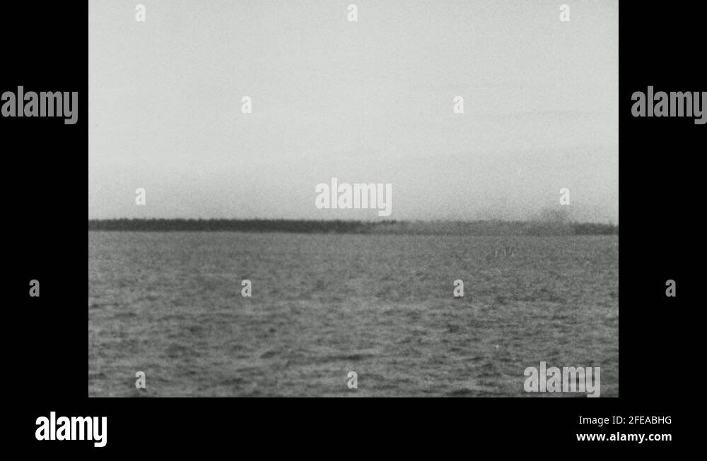 Black and white sea shells Stock Videos & Footage - HD and 4K Video ...