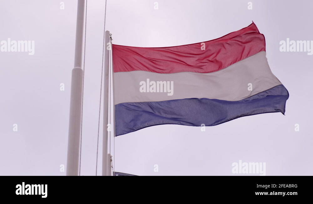 National symbol of holland Stock Videos & Footage - HD and 4K Video ...