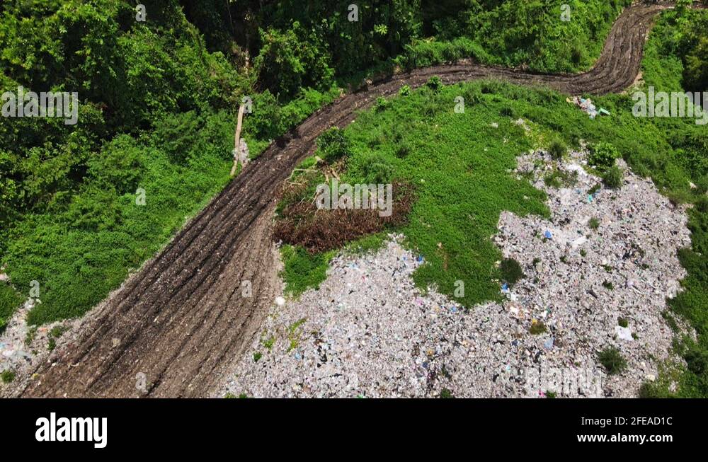 Jungle pollution Stock Videos & Footage - HD and 4K Video Clips - Alamy