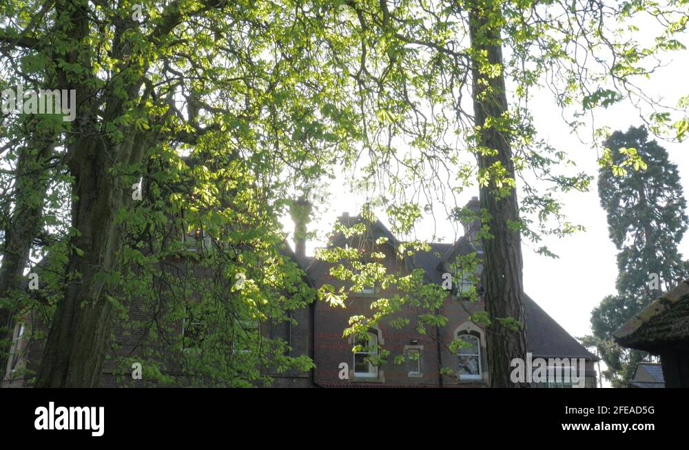 Building trough trees Stock Videos & Footage - HD and 4K Video Clips ...