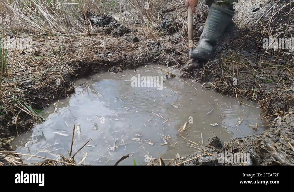 Man finding water Stock Videos & Footage - HD and 4K Video Clips - Alamy