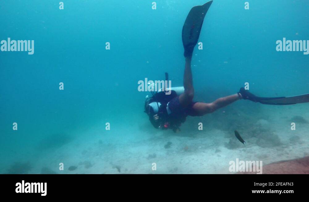 Scuba diver man fishes not fish Stock Videos & Footage - HD and 4K ...