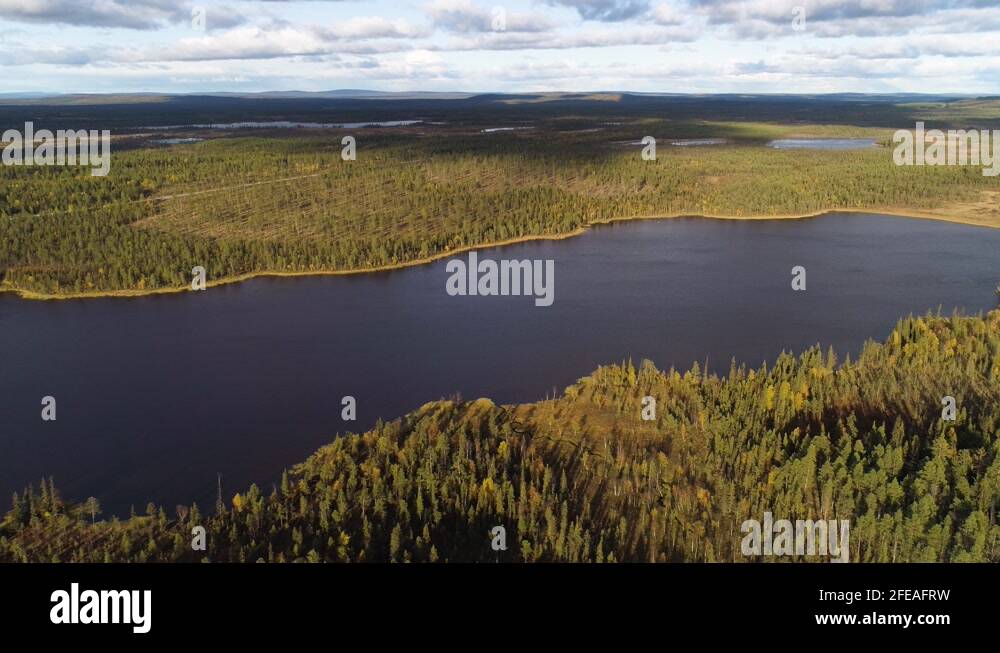 Taiga fall color Stock Videos & Footage - HD and 4K Video Clips - Alamy