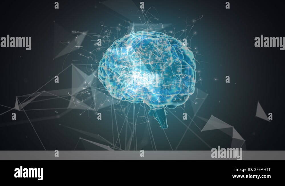 Brain geometric shapes Stock Videos & Footage - HD and 4K Video Clips ...