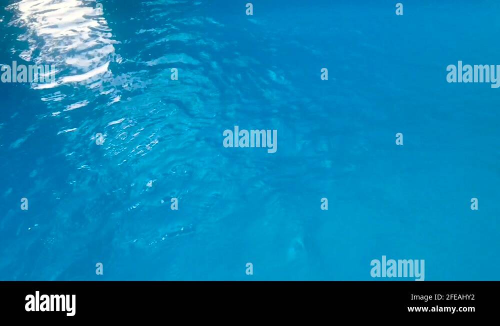 Azure swimming pool Stock Videos & Footage - HD and 4K Video Clips - Alamy