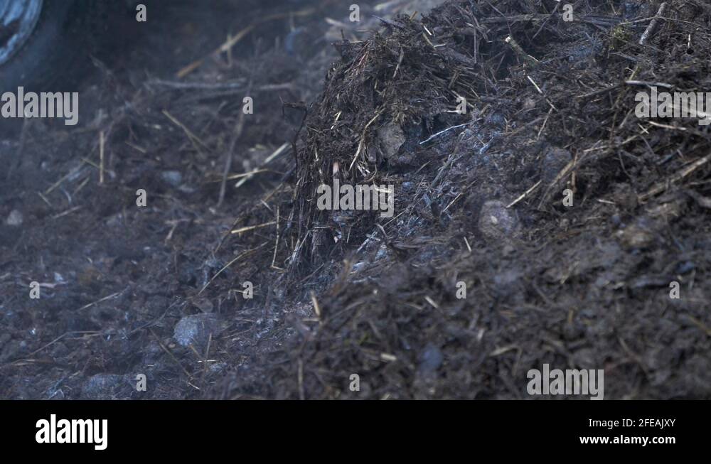 Burnt husk Stock Videos & Footage - HD and 4K Video Clips - Alamy