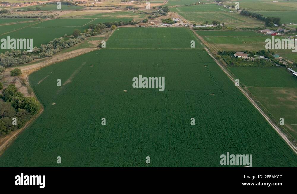 Agricultural land plot Stock Videos & Footage - HD and 4K Video Clips ...