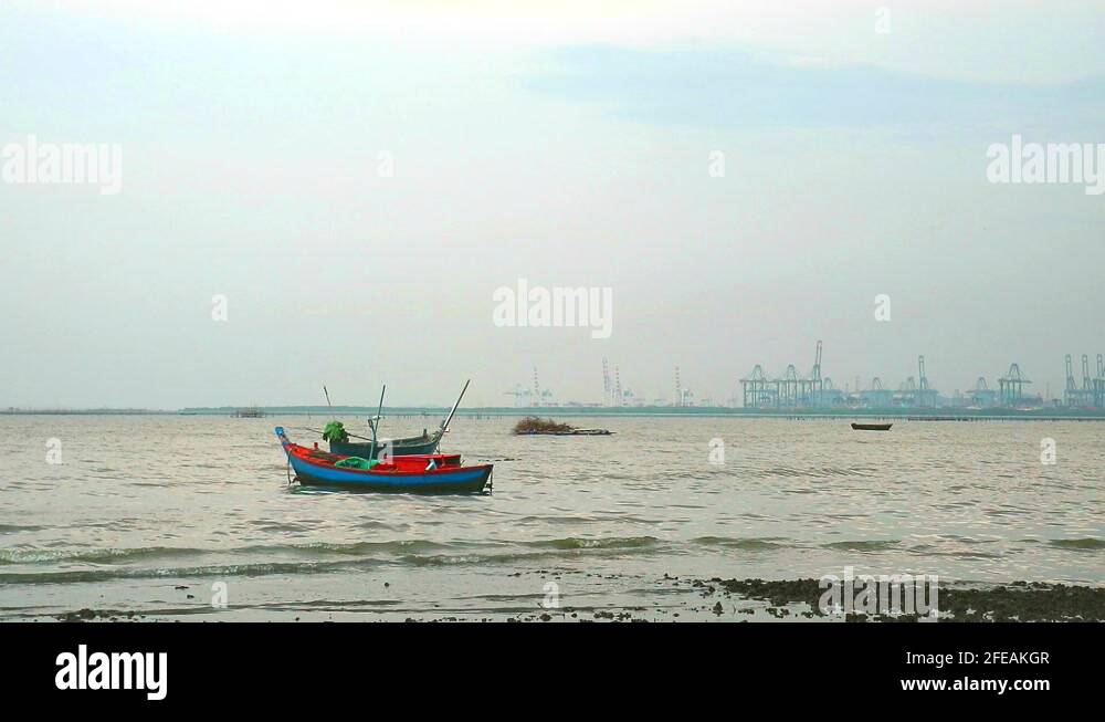 Abstain Stock Videos & Footage - HD and 4K Video Clips - Alamy