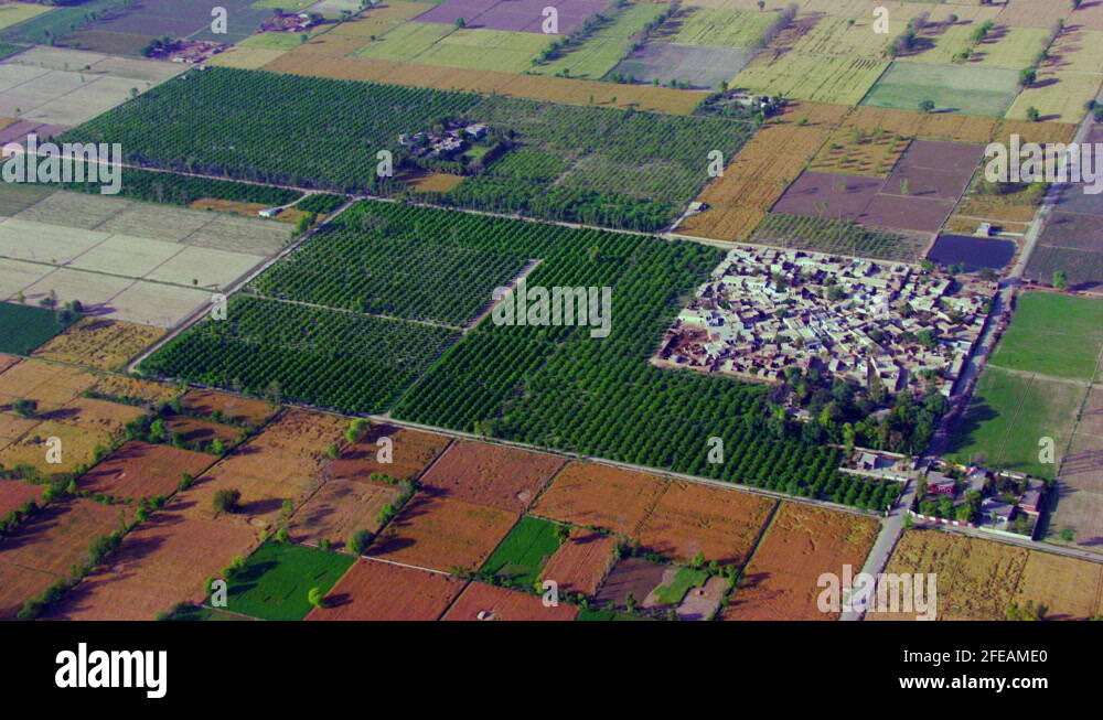 Farming farm oregon Stock Videos & Footage - HD and 4K Video Clips - Alamy