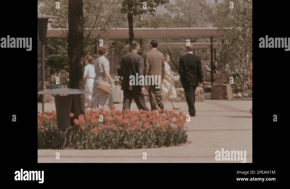 1950s garden Stock Videos & Footage - HD and 4K Video Clips - Alamy