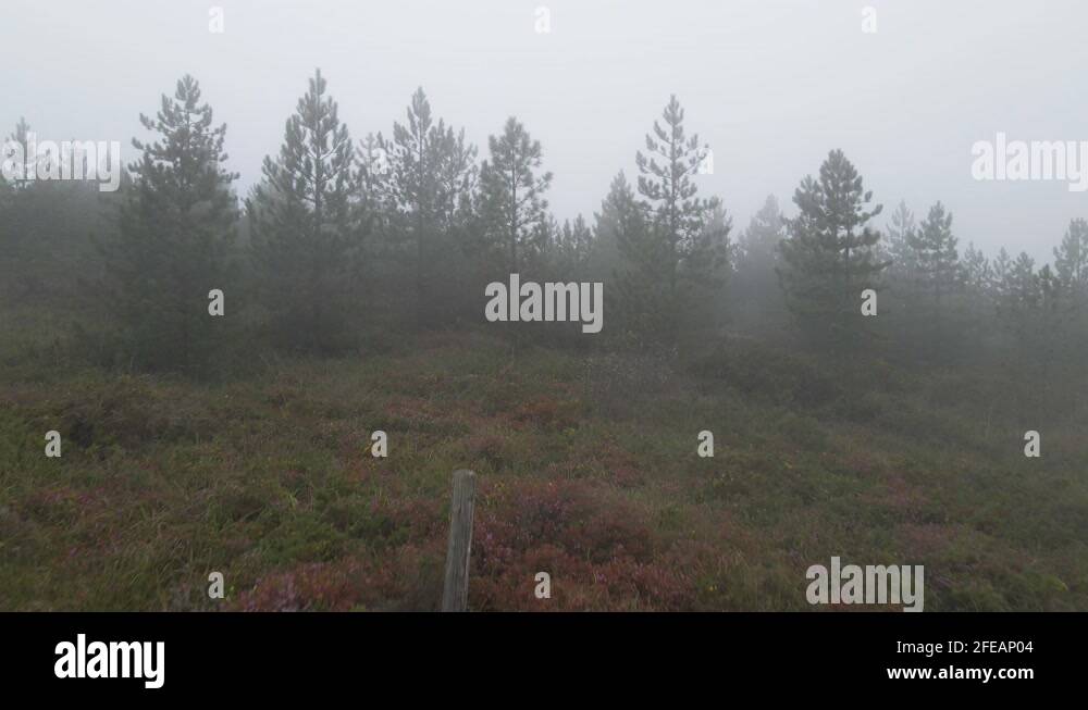 Mystery setting Stock Videos & Footage - HD and 4K Video Clips - Alamy