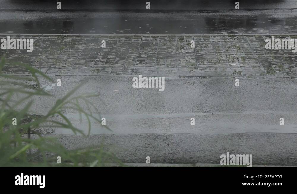 Fall on pavement Stock Videos & Footage - HD and 4K Video Clips - Alamy