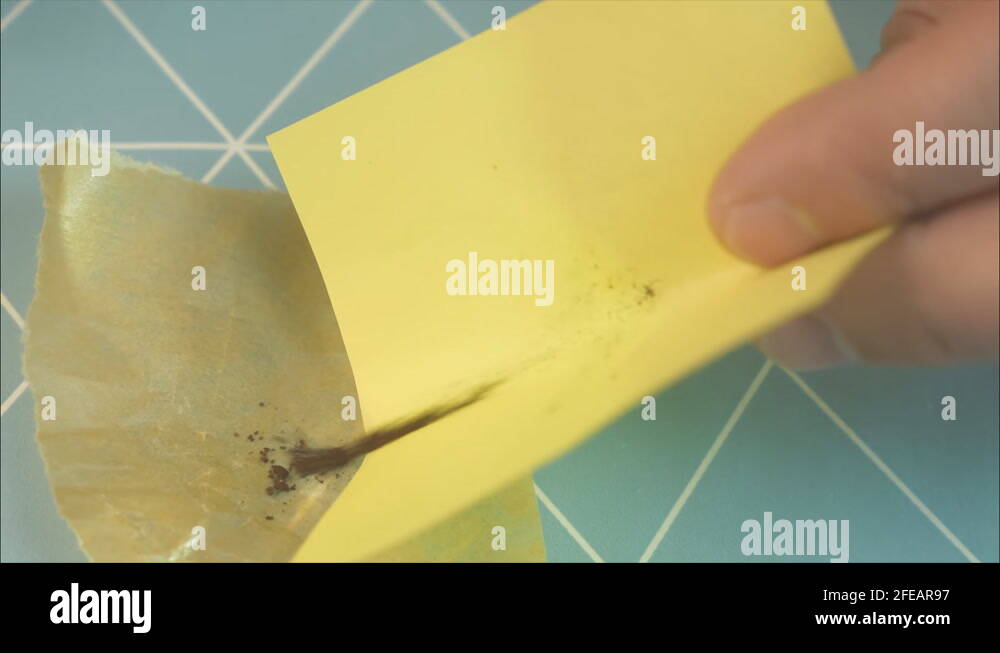 Snuff powder Stock Videos & Footage - HD and 4K Video Clips - Alamy