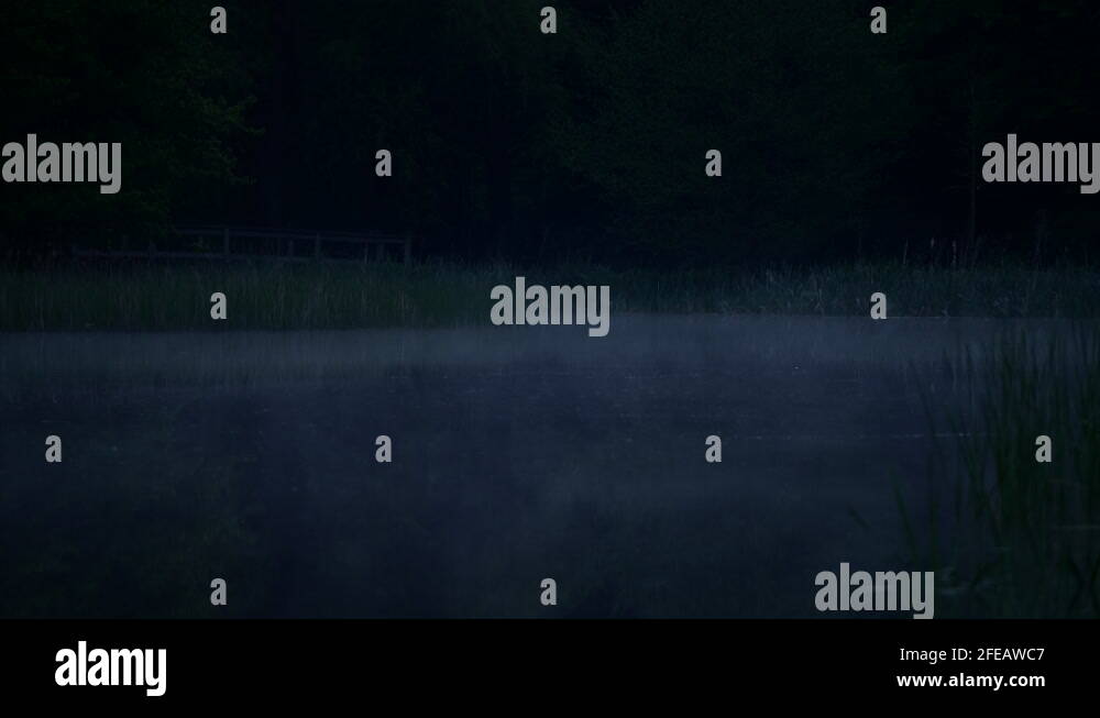 Terrifying night Stock Videos & Footage - HD and 4K Video Clips - Alamy