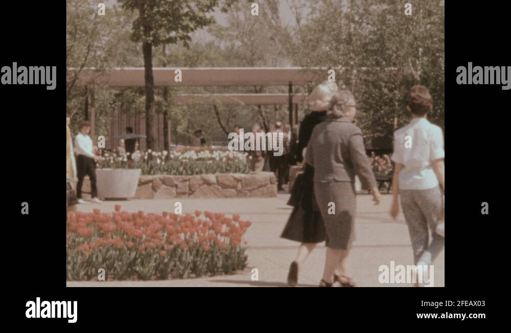 1950s: Garden plaza, tulip beds, low stone wall, planters, shade ...