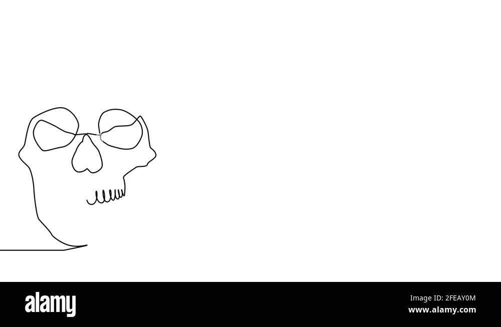 Self drawing Animation Drawing One Continuous Line Of The Skull Stock self-drawing-animation-drawing-one-continuous-line-of-the-skull-stock
