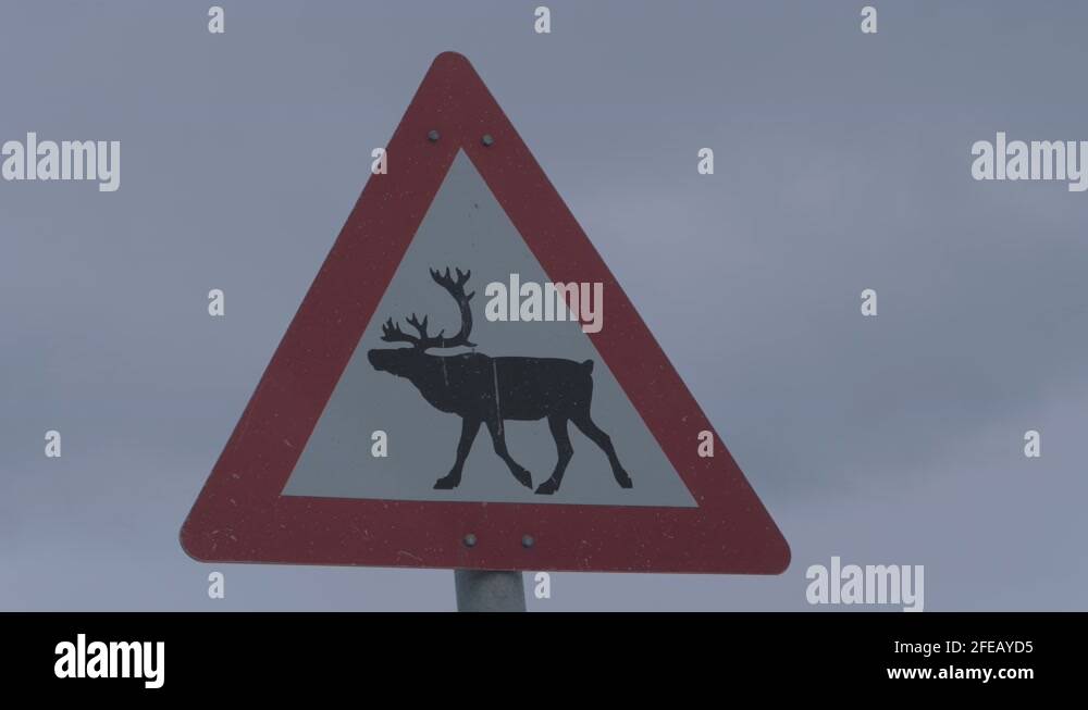 White traffic signs triangle Stock Videos & Footage - HD and 4K Video ...