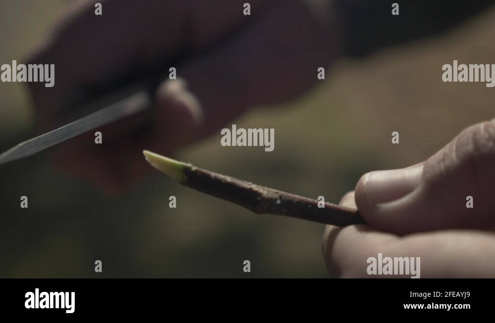 Sharpen stick Stock Videos & Footage - HD and 4K Video Clips - Alamy