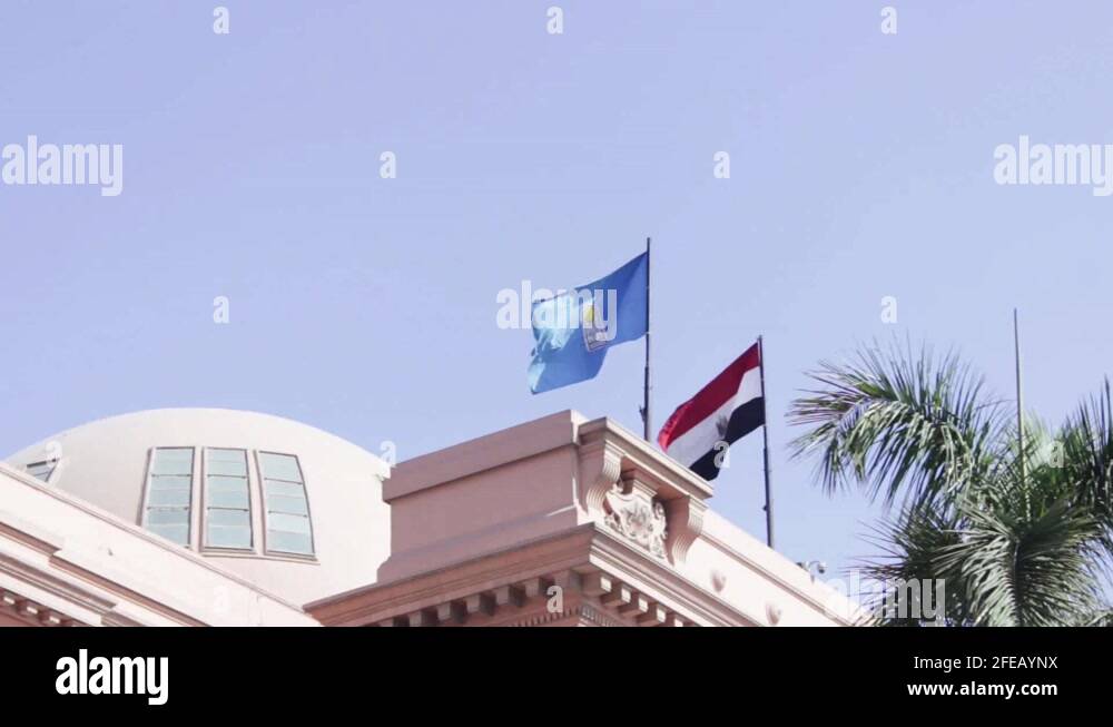 Cairo egypt art Stock Videos & Footage - HD and 4K Video Clips - Alamy