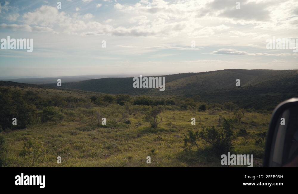 Bush window Stock Videos & Footage - HD and 4K Video Clips - Alamy