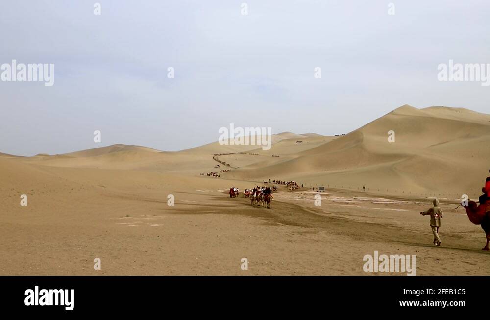 Sha shan Stock Videos & Footage - HD and 4K Video Clips - Alamy