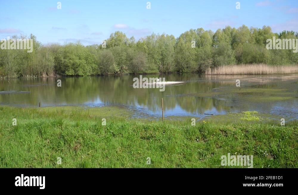 Pennington Stock Videos & Footage - HD and 4K Video Clips - Alamy