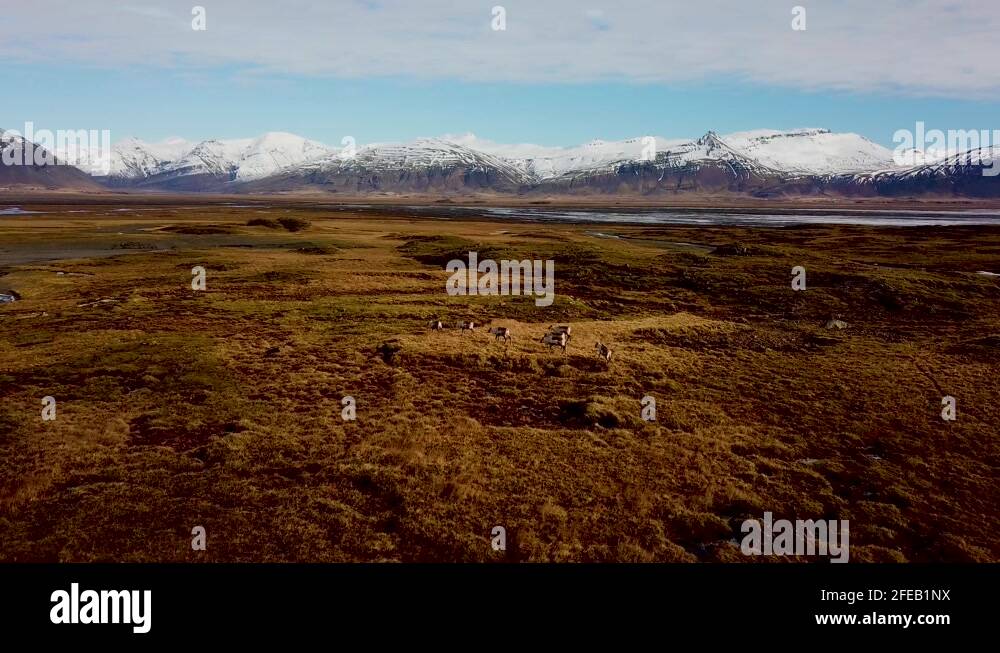 Land of ice and fire Stock Videos & Footage - HD and 4K Video Clips - Alamy