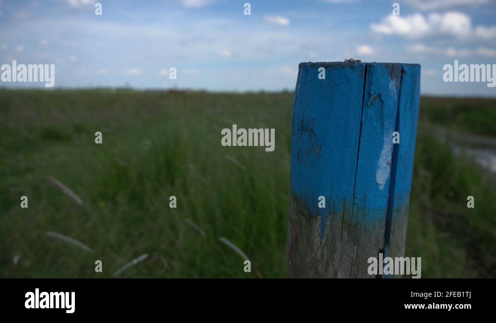 Blue trail Stock Videos & Footage - HD and 4K Video Clips - Alamy