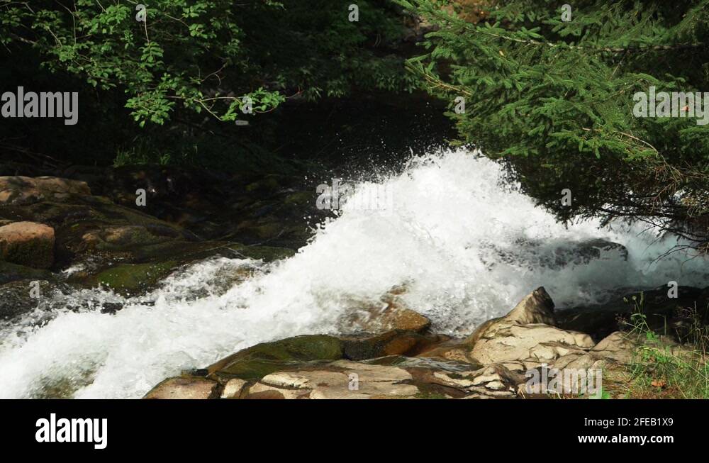 Rapid river stream rushing over rocks in the forest during sunny summer ...