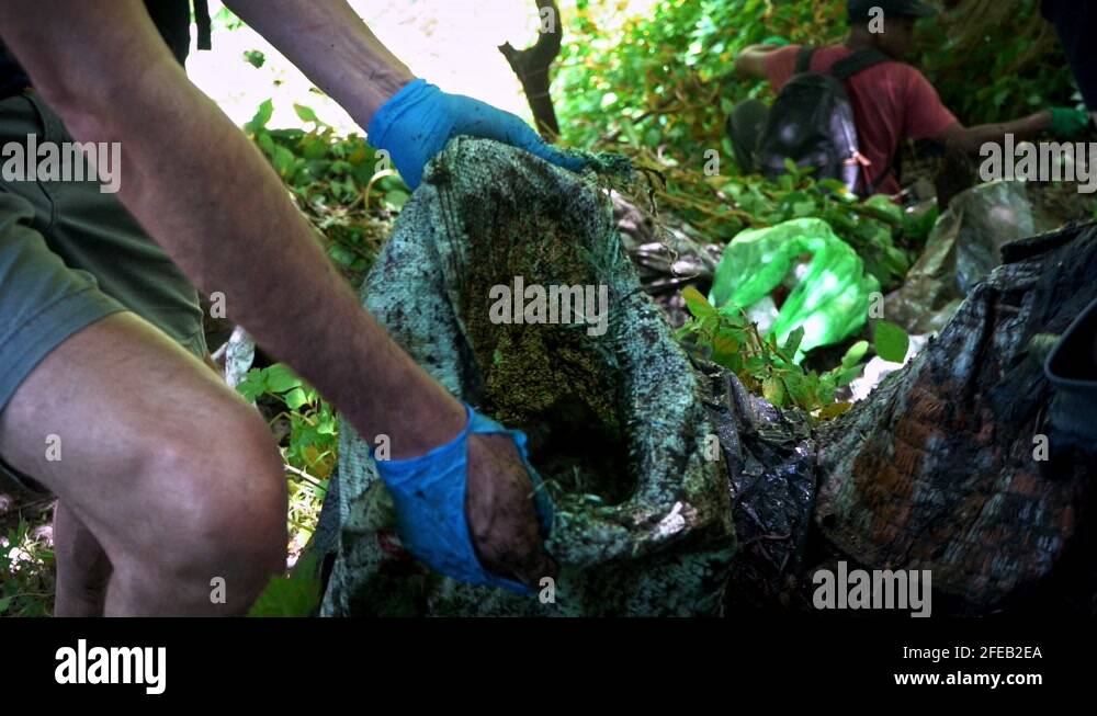 Refuse sack litter pick Stock Videos & Footage - HD and 4K Video Clips ...