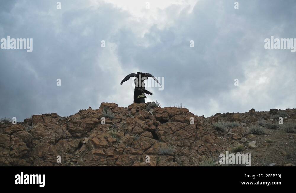 Altai golden eagle Stock Videos & Footage - HD and 4K Video Clips - Alamy