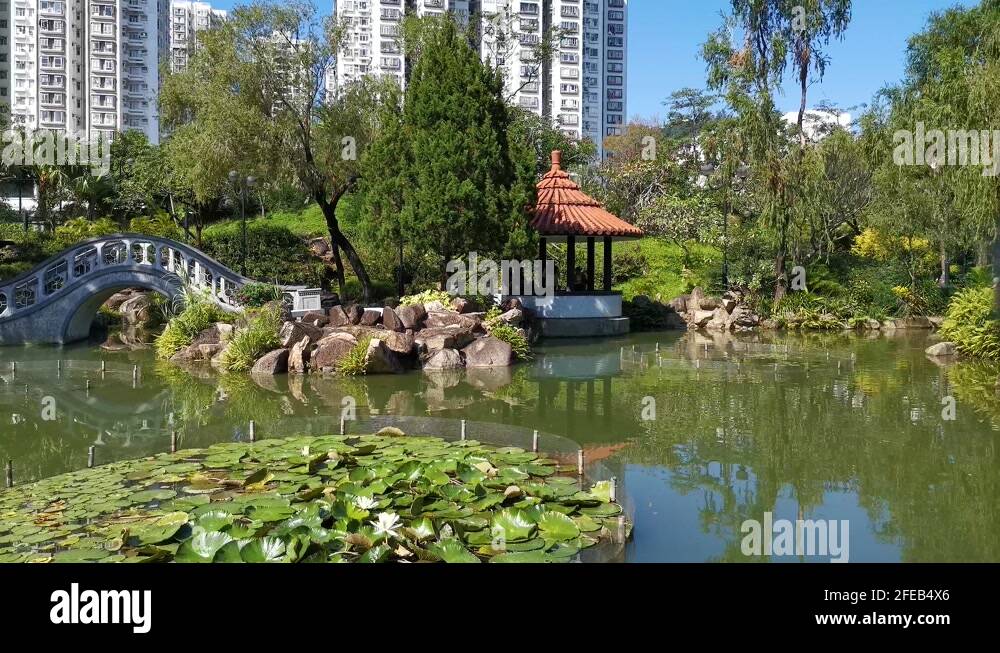 Riverside garden park Stock Videos & Footage - HD and 4K Video Clips ...